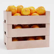 YangMing Marine Transport Corp.